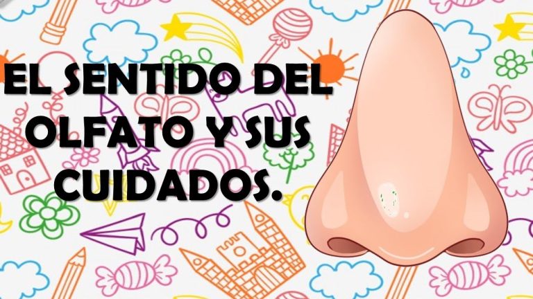 Sentido del olfato niños - Pedagogía Waldorf